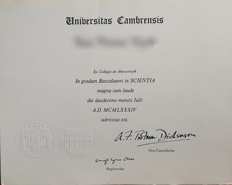 Grading System in the USA (2024): Guide for International Students