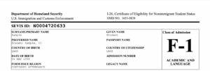Understanding the I-20 Form for International Students